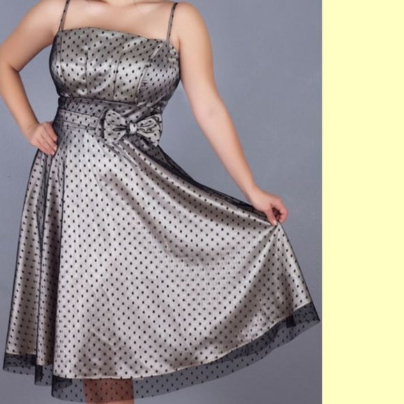 Stop Staring | Dresses | Stop Staring Fairytale Dress Nwt Retro Swing ...